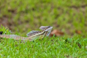 Download Conners Rating Scale PDF | Free Assessment Tool